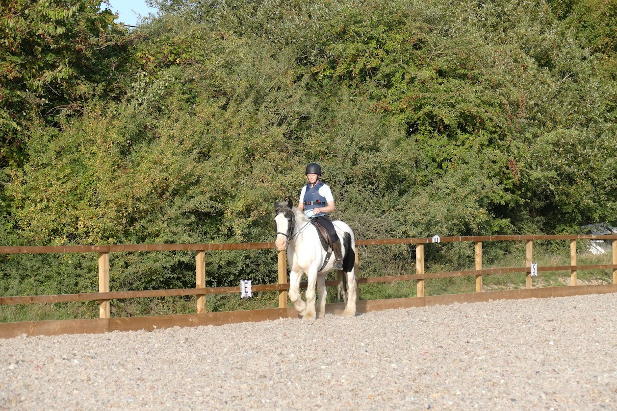 Russells Equestrian Centre – We teach the safest method of riding